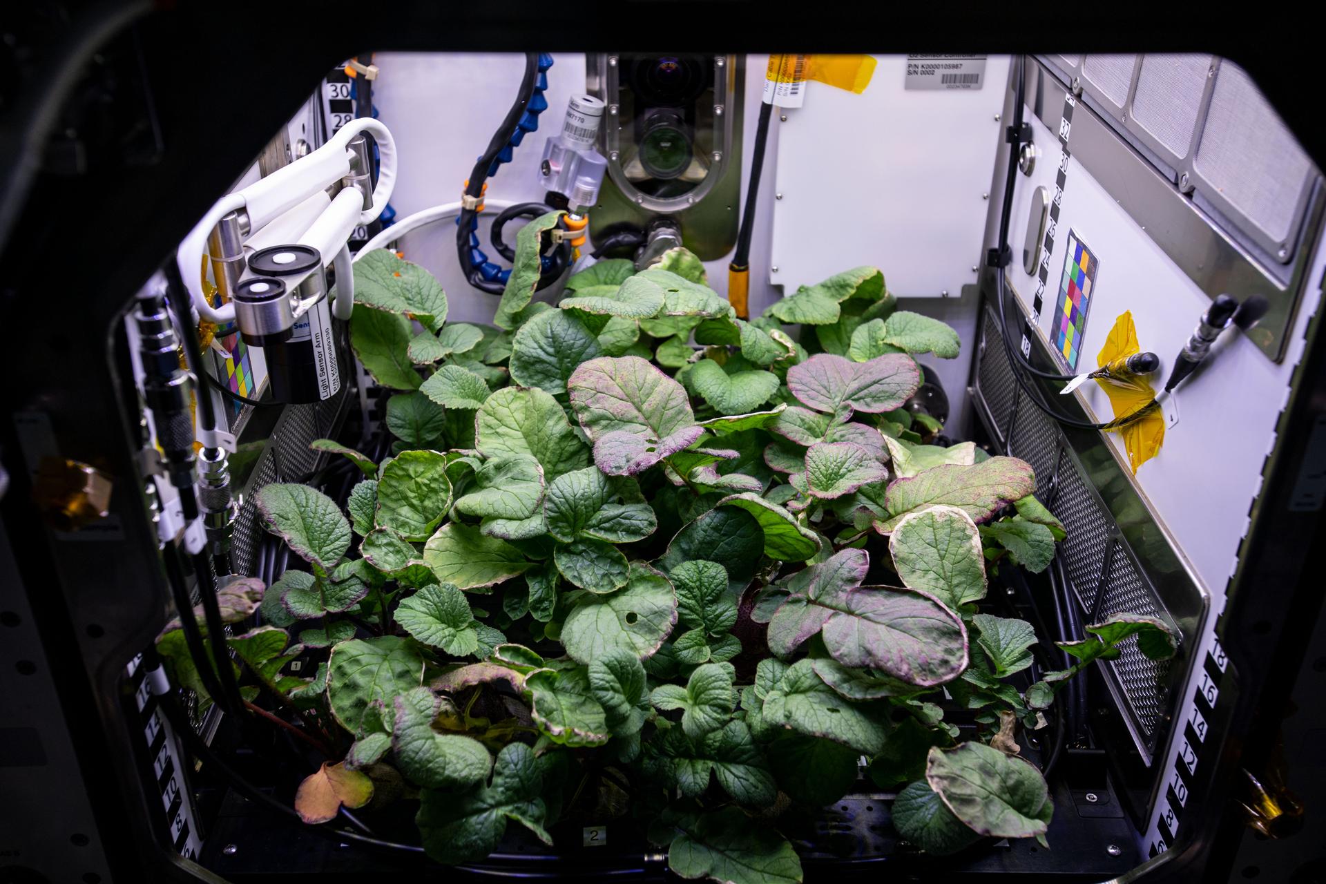 In-Space Manufacturing - Factories in Space